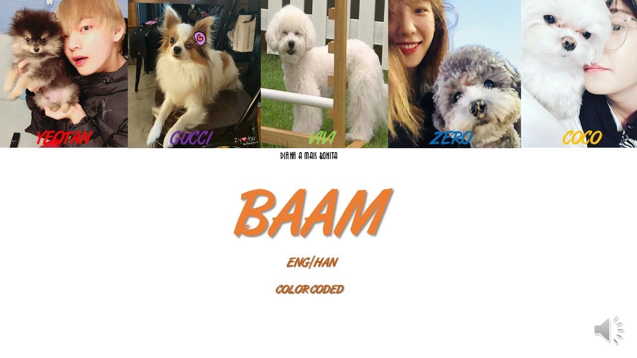 How Would KPOP DOGS sing Momoland 'BAAM'? - YouTube