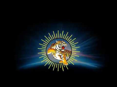 Parakkuthu parakkuthu puli kodi - YouTube