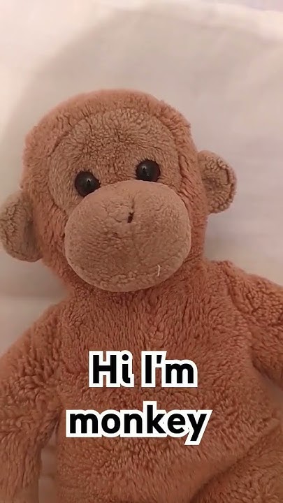 Hi I'm monkey if you watch dis you are a monkey member 🐵 - YouTube
