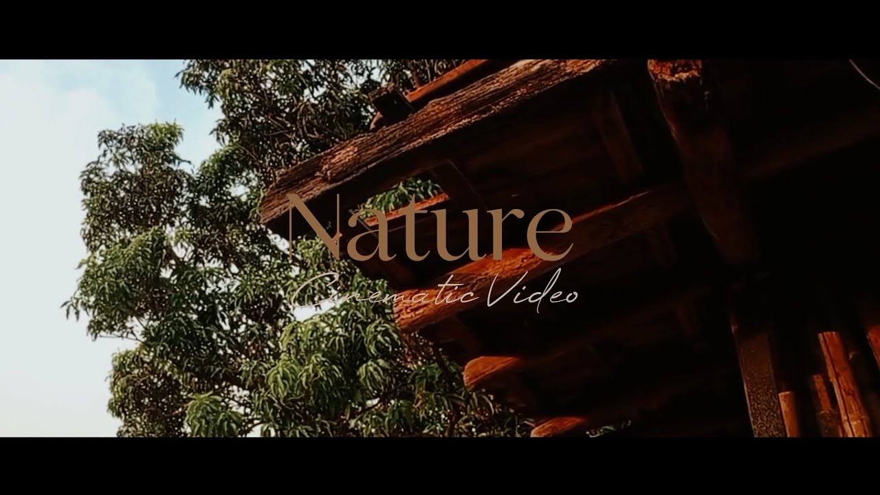 Cinematic Nature Video | Relaxing Nature Video | Shot On Realme - YouTube