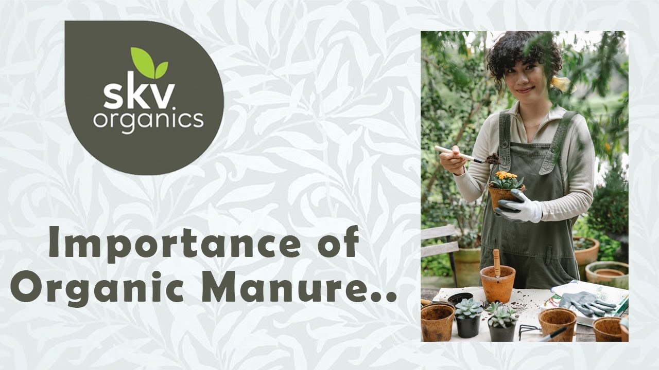 Importance of organic manure for Plants - YouTube