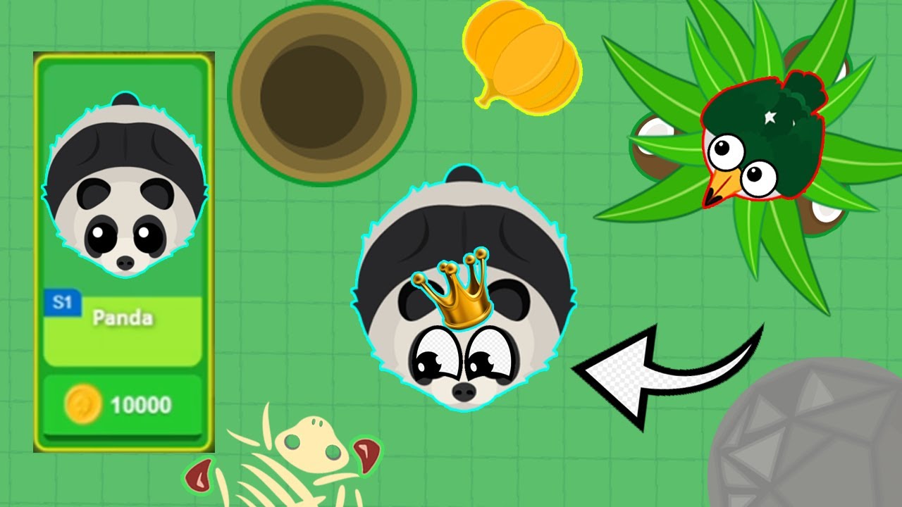 Story behind buying panda in mope.io - YouTube