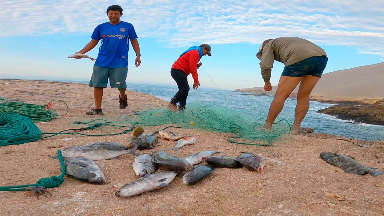 PESCAR CON RED EN ACANTILADOS - Pesca de altura - fishing exciting ...