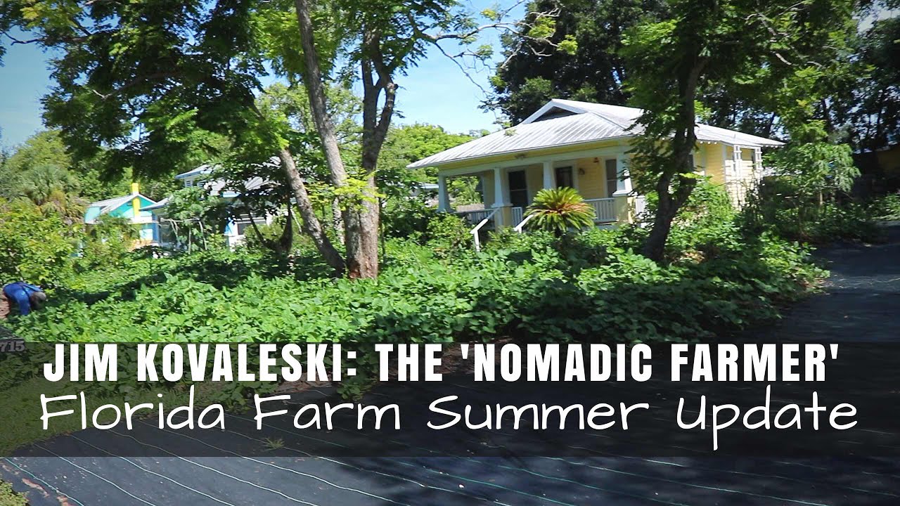 Jim Kovaleski, the 'Nomadic Farmer': Florida Farm Summer Update to $5 ...