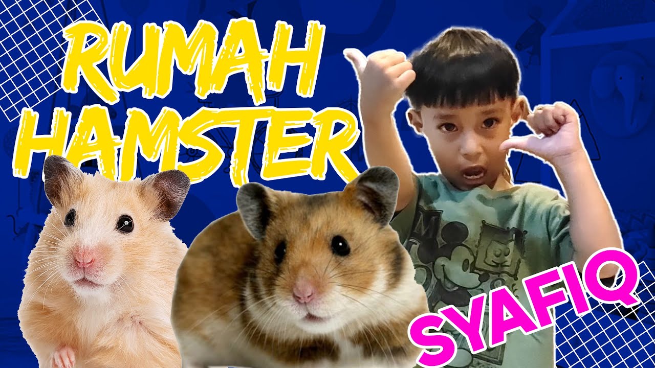 Membuat Rumah Hamster Baru! Hamster Syafiq Udah Besar! - YouTube