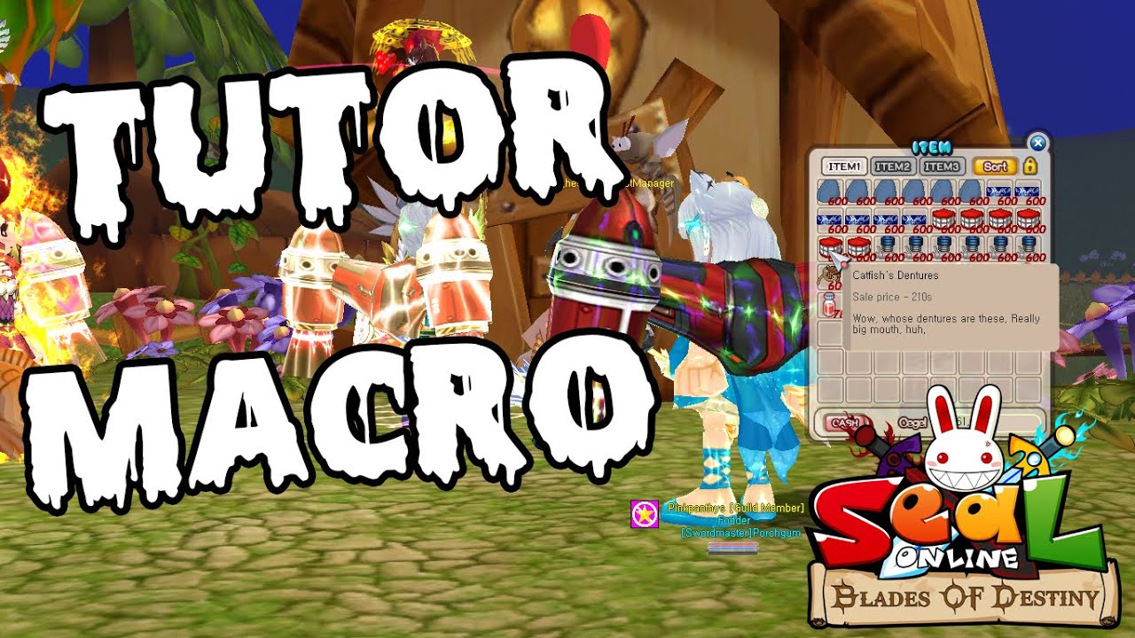 SEAL BOD : TUTOR MACRO QUEST SEVIS? - YouTube