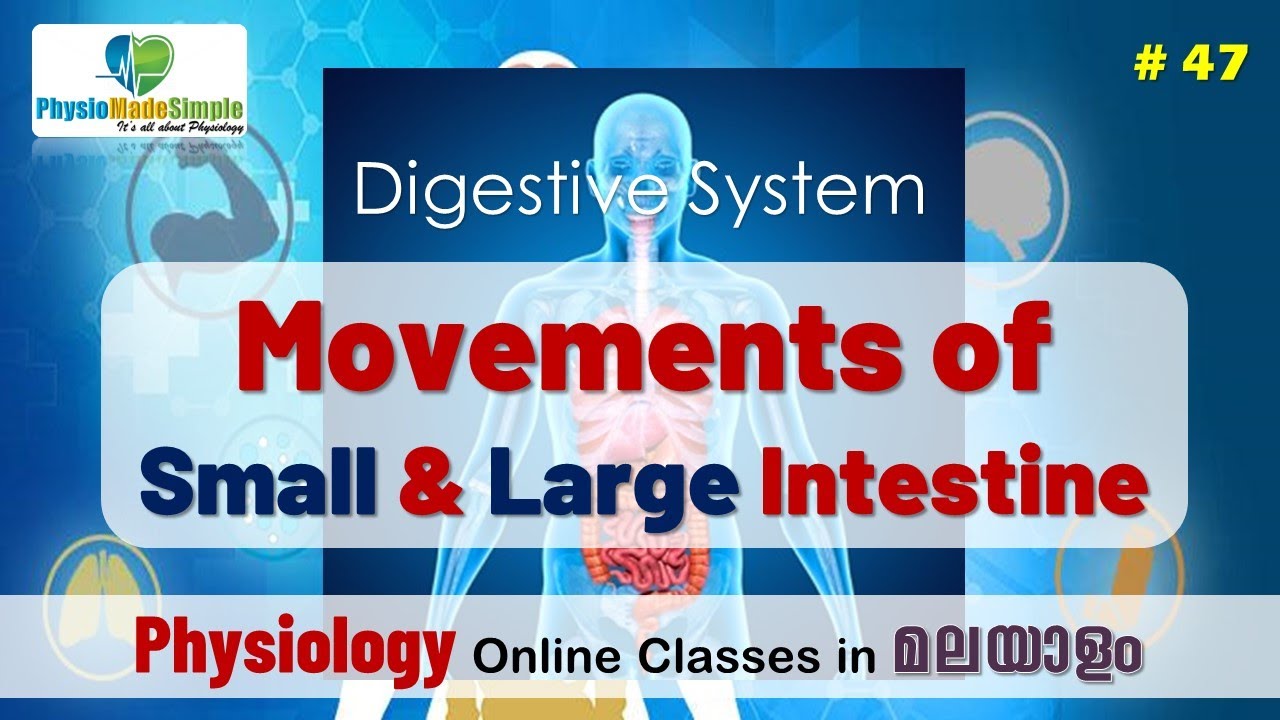 Ep 47 Movements Of Small Large Intestine humanphysiology ep-47-movements-of-small-large-intestine-humanphysiology