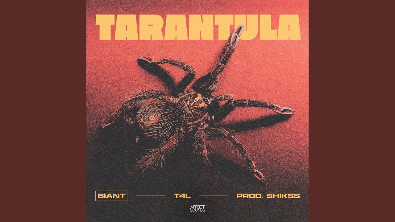 Tarantula - YouTube