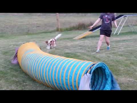 Kara and Cammi VT TNG 7/29/13