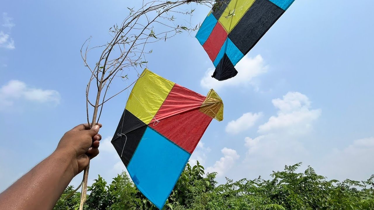 Caught kite 🌳 kite looting on ground | kite catching | kite looters ...