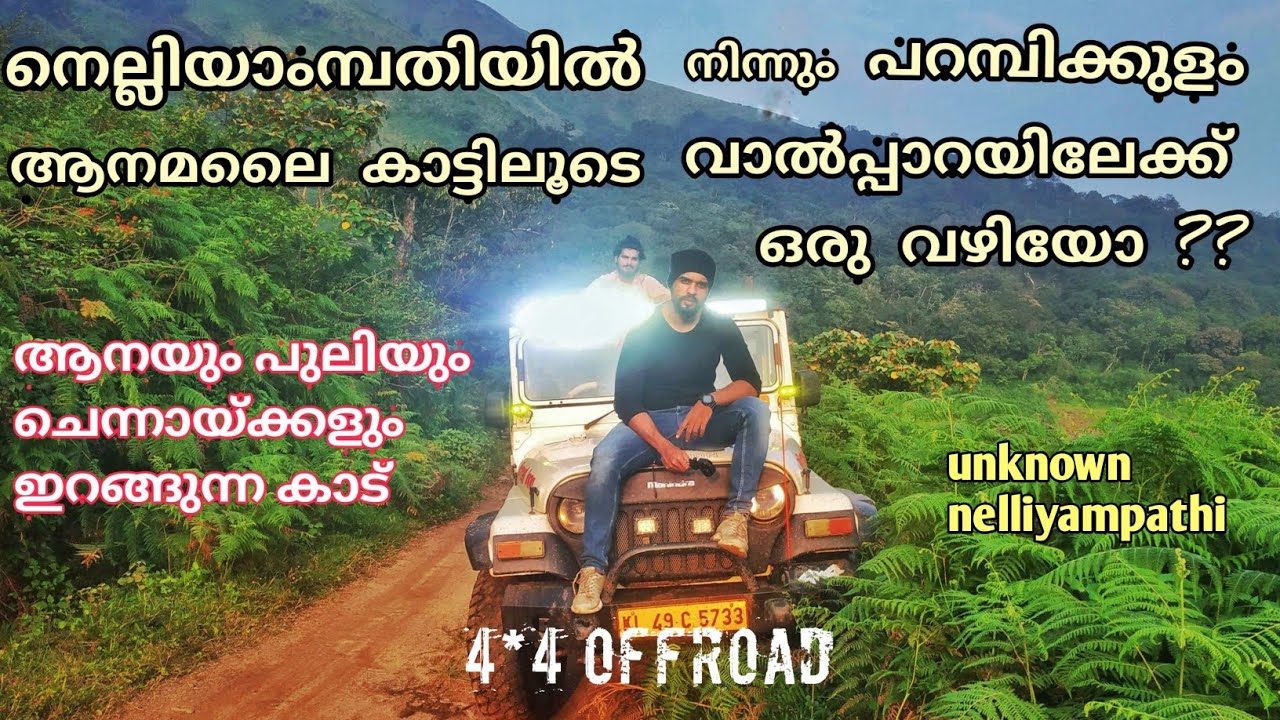 exploring the unknown nelliyampathy | forest route from nelliyampathy ...