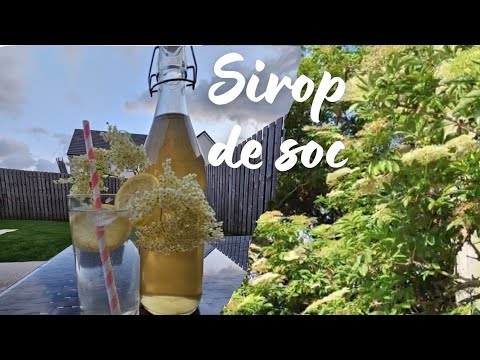 Sirop de soc \ Reteta de sirop de soc pentru iarna - YouTube