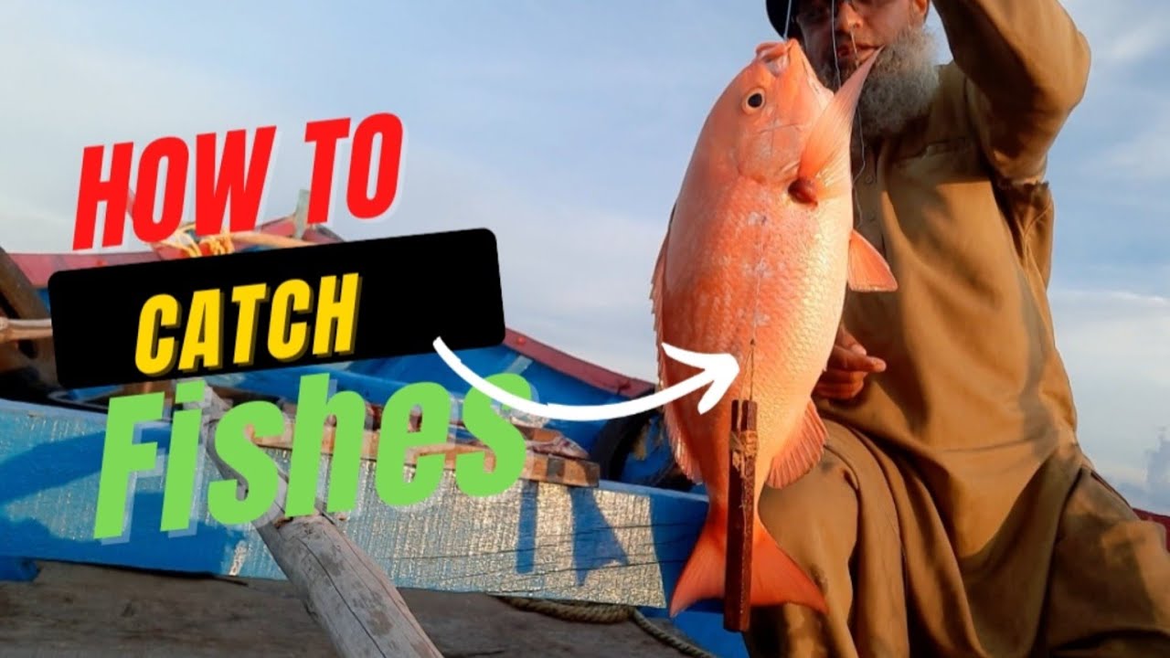Catching Indian Red Snapper || Traditional Fishing || Deep Sea Fishing ...