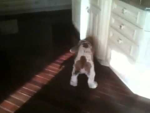 Mr. Dinkleman and his ball - YouTube