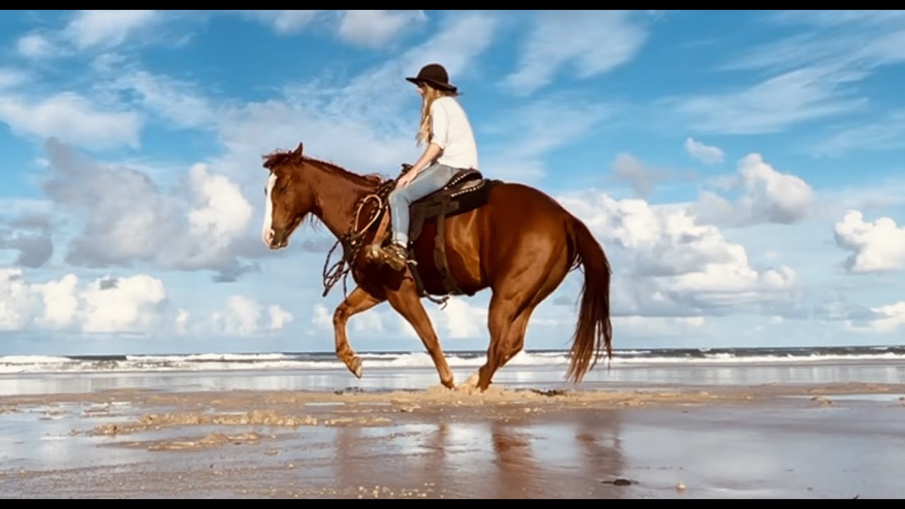 LEG CUES for Bitless/Bridleless Riding - YouTube