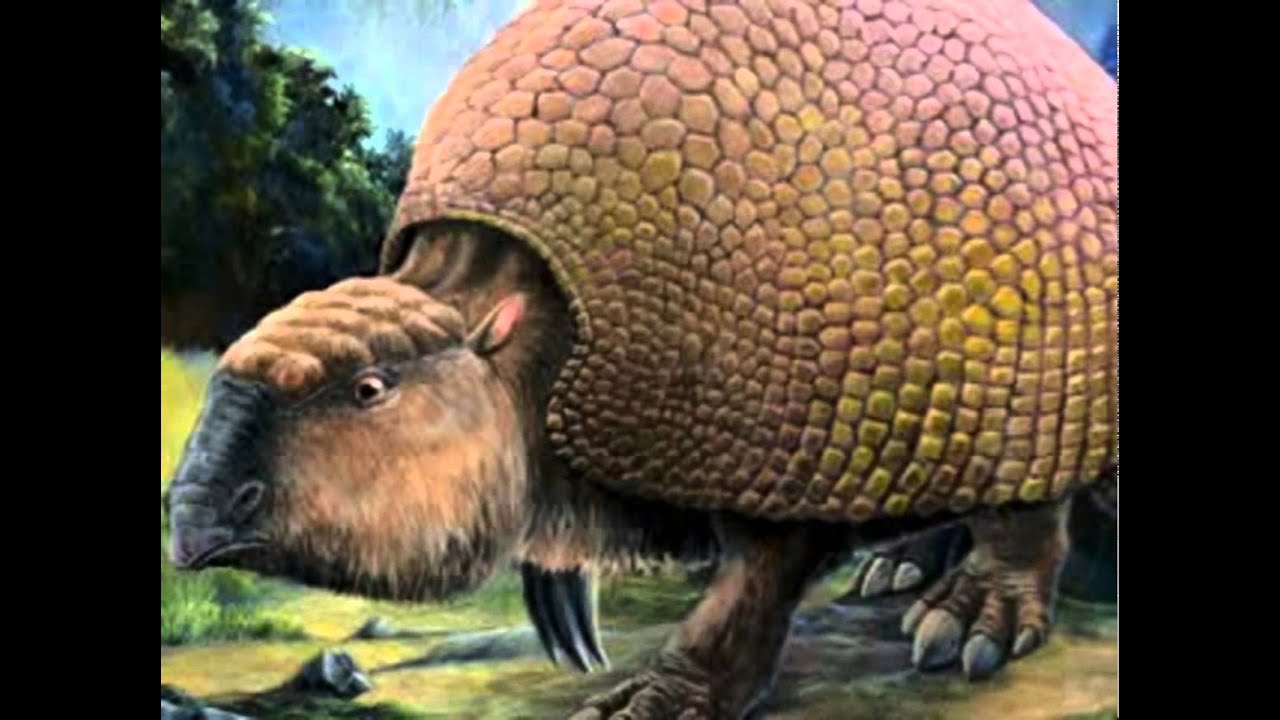 Extinct Before 10000 BC - Glyptodon - YouTube