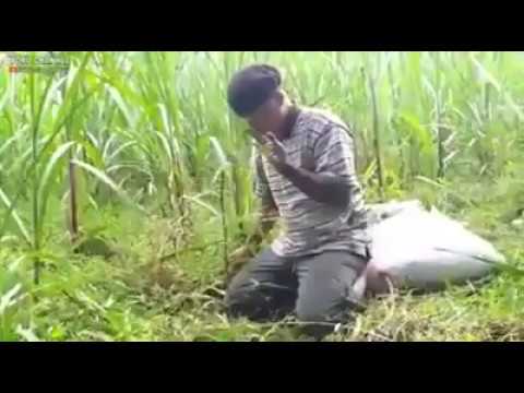 VIRAL!!! MAMBU TAI .. - YouTube