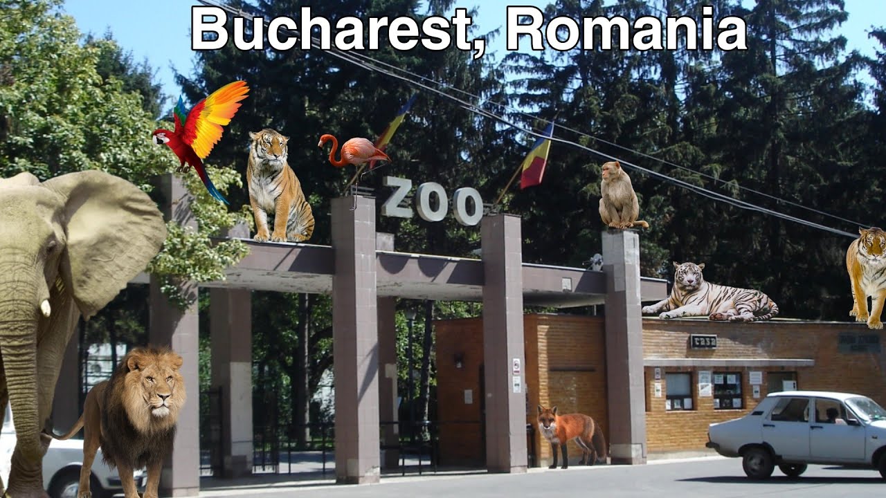 Baneasa Zoo ( Gradina Zoologica, Bucuresti ) - YouTube