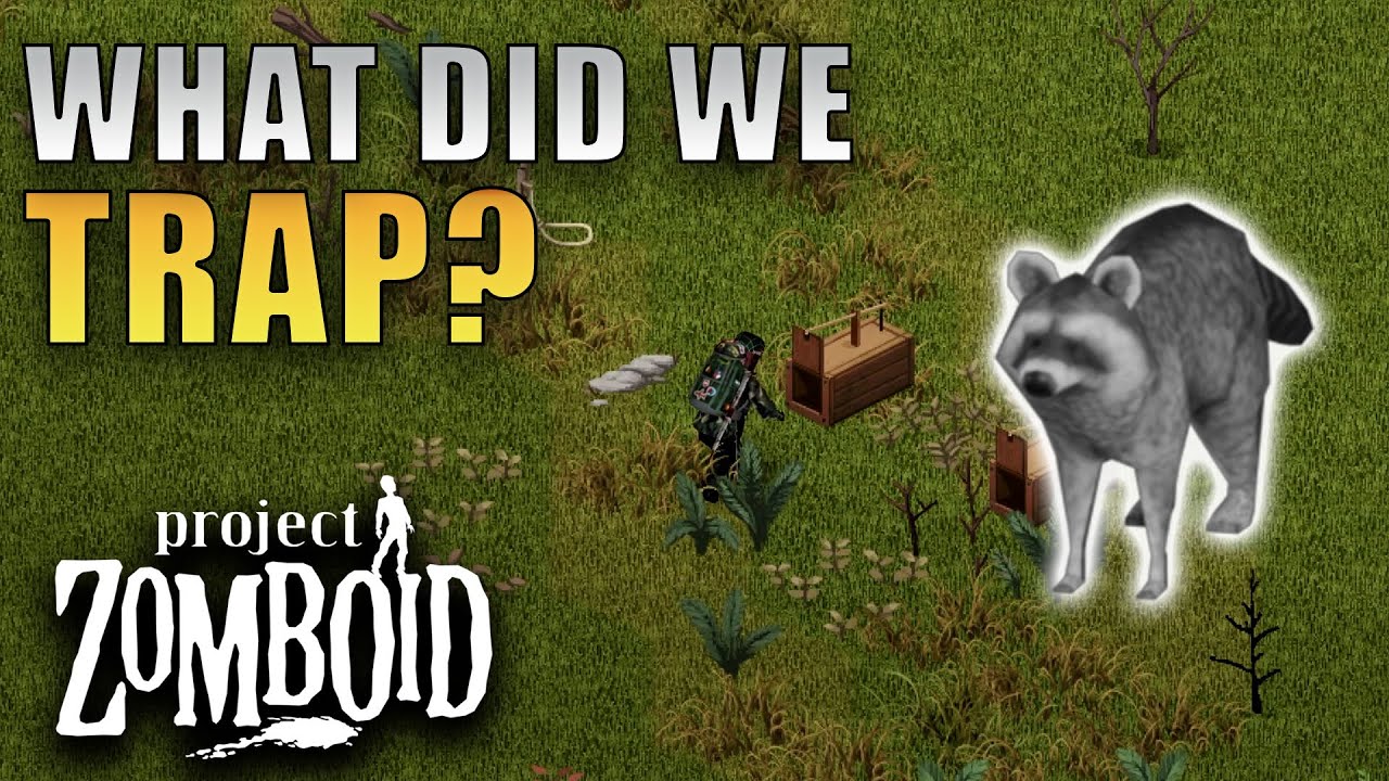 A New Pet? | Project Zomboid BUILD 42 | Mack The Blacksmith | Part 45 ...
