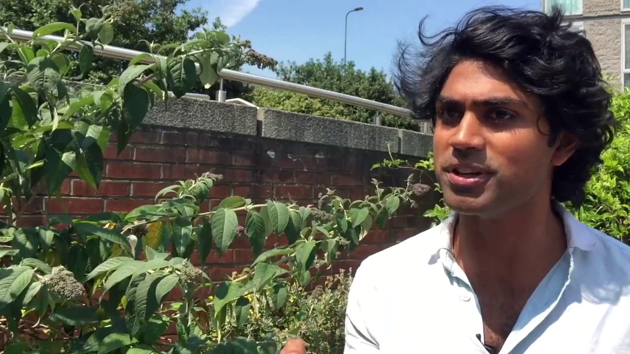 Mikhail Sen, Taj Express - YouTube