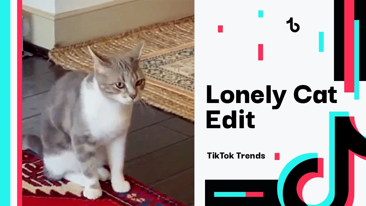Sometimes I'm Alone (Lonely Cat) Edit - TikTok Trends - YouTube