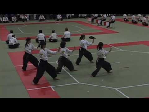 All Japan Taido Championships 2008 - Women Team Hokei 2 - YouTube