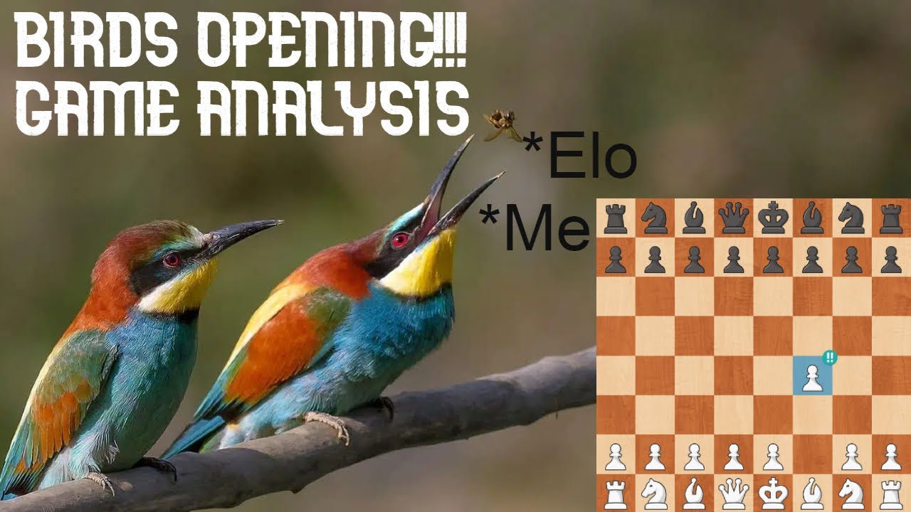 Birds opening is the BEST!! | Road to 2000 !!! |Game Analysis and ...