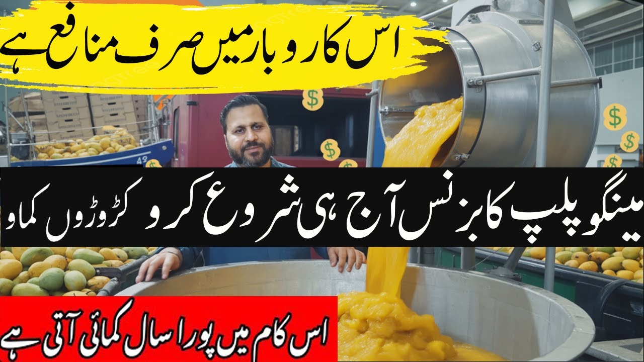 How to Start Mango Pulp Business in Pakistan | Export to UAE, UK & USA ...