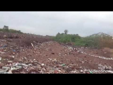 Djibouti - Ambouli [vidéo] - YouTube