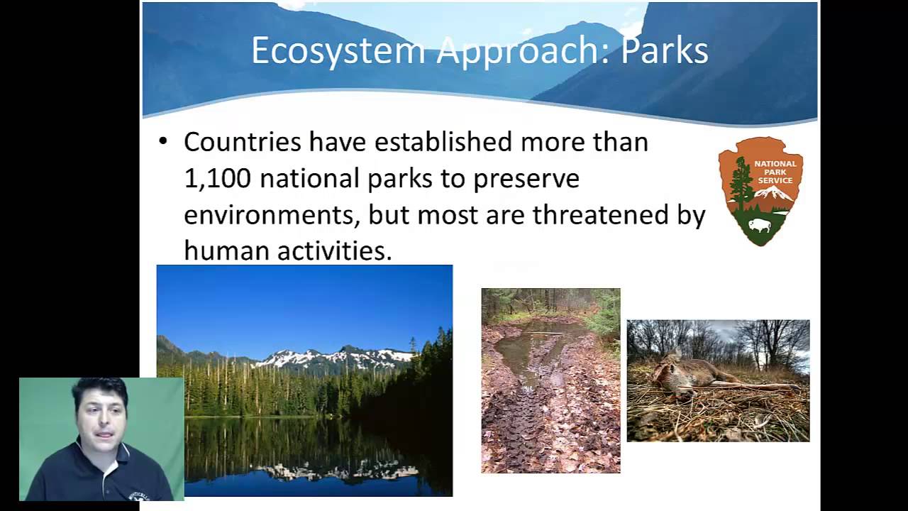 Conservation Strategies - YouTube