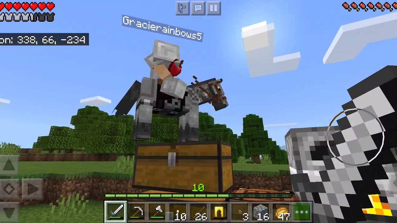 Playing minecraft with shelby - YouTube