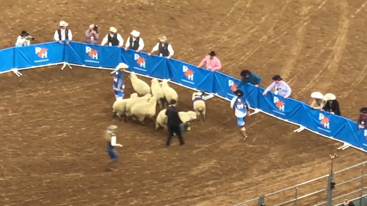 Mutton Busting 2 - YouTube