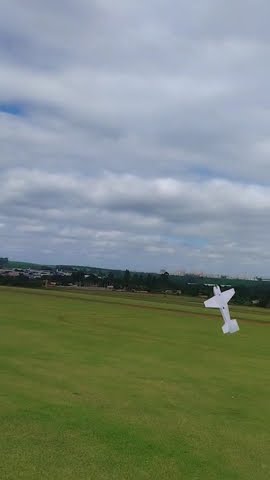 shock flyer 3d 4d extra 300 modificado 5mm - YouTube