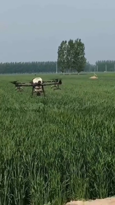 Smart robotic pesticides sprayer for precision agriculture - YouTube