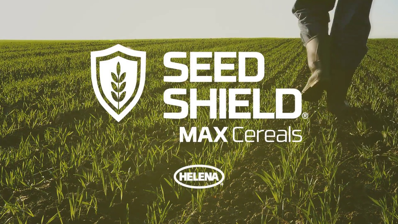 Where can Seed Shield Max Cereals be used? - YouTube