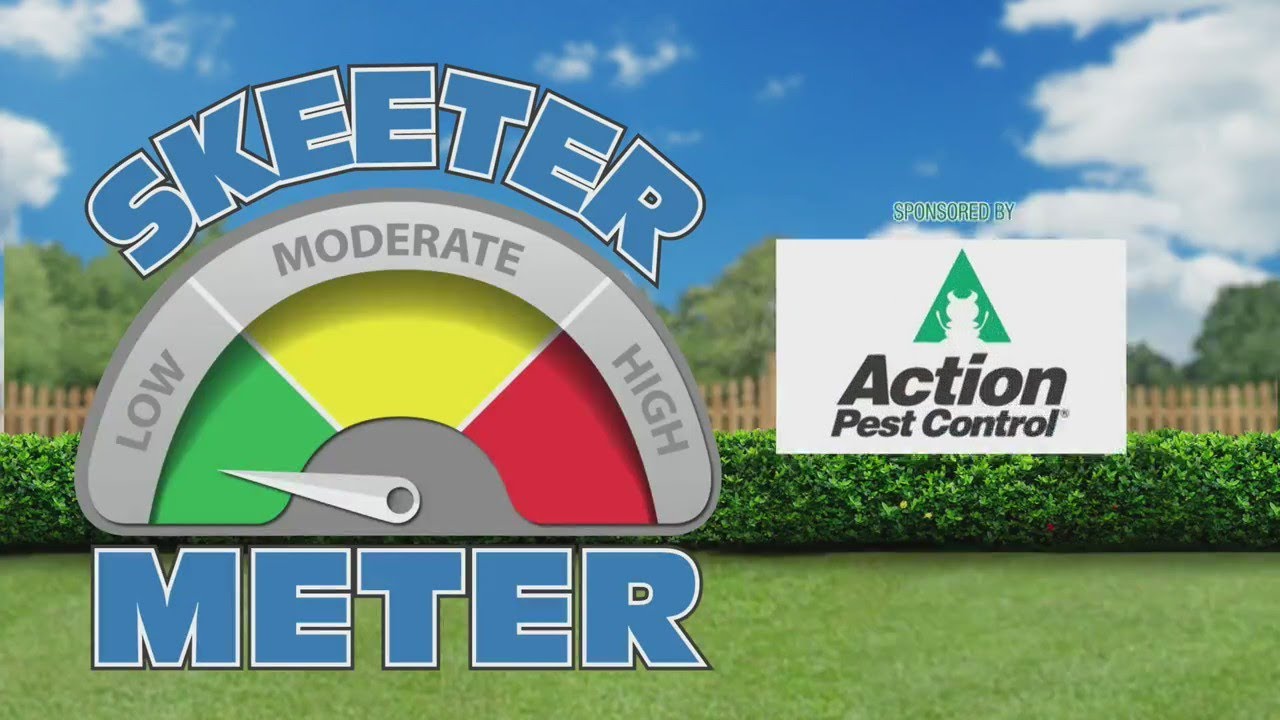 Skeeter Meter for Monday - YouTube