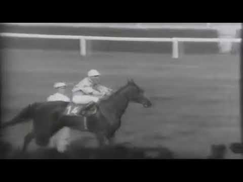 TJK 1970 Gazi Koşusu Şampiyon Sadettin K. Yıldız S. Atığ Golden Sun Kılıçarslan