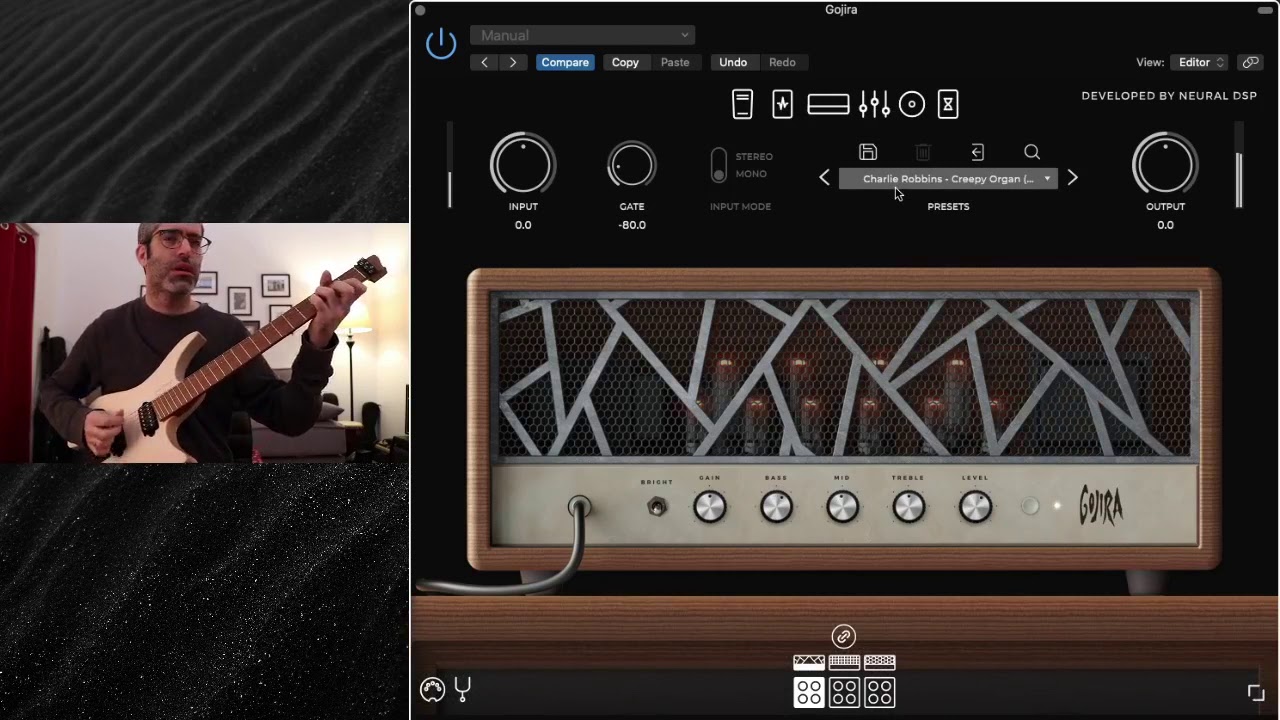 Clean sounds on the Archetype: Gojira | Neural DSP - YouTube