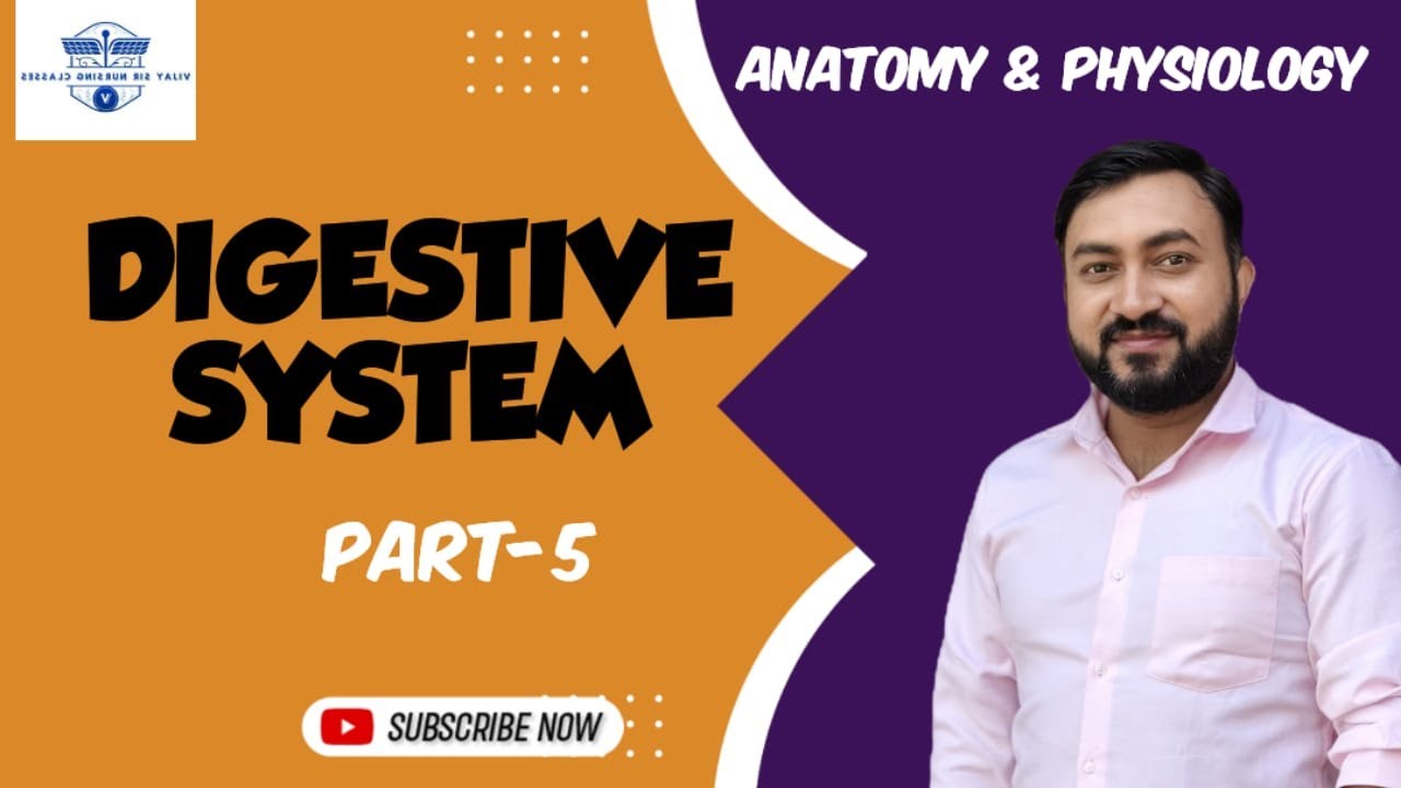 Digestive system | Part 5 | Small Intestine | Intestinal Glands ...