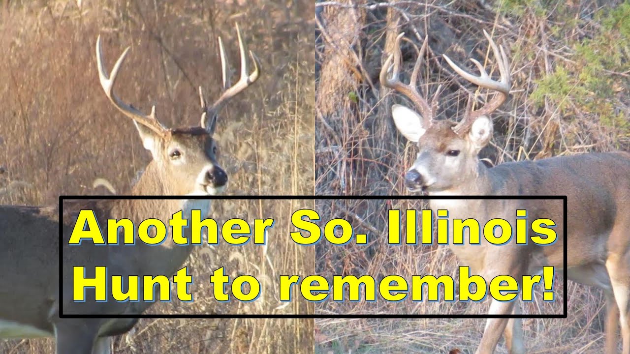 TWO big Illinois bucks in the field! MAKE A GREAT deer hunting video OR ...