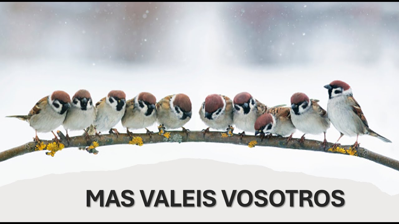 MAS VALEIS VOSOTROS - YouTube