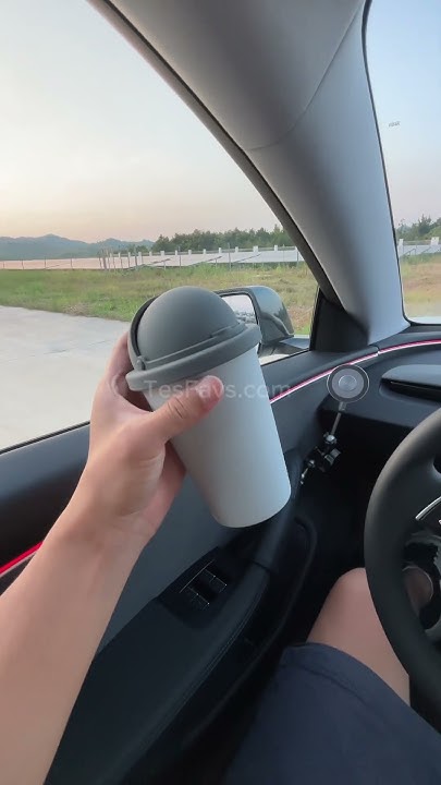 Say Goodbye to Clutter in Your Tesla with This Mini Trash Can! # ...