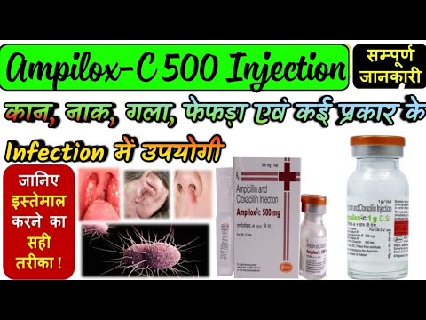 Information about Ampilox-C 500 Mg Injection Useful in ear, nose ...
