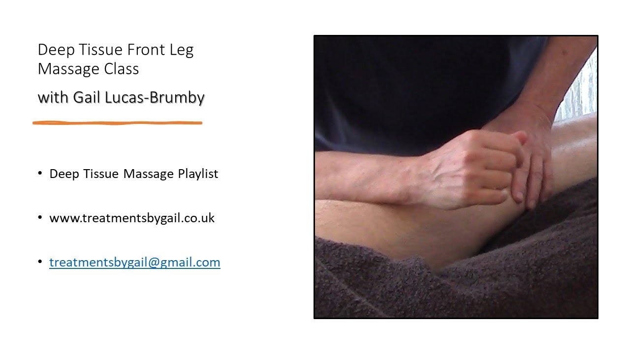 Deep Tissue Massage Front Legs with Gail Lucas Brumby - YouTube