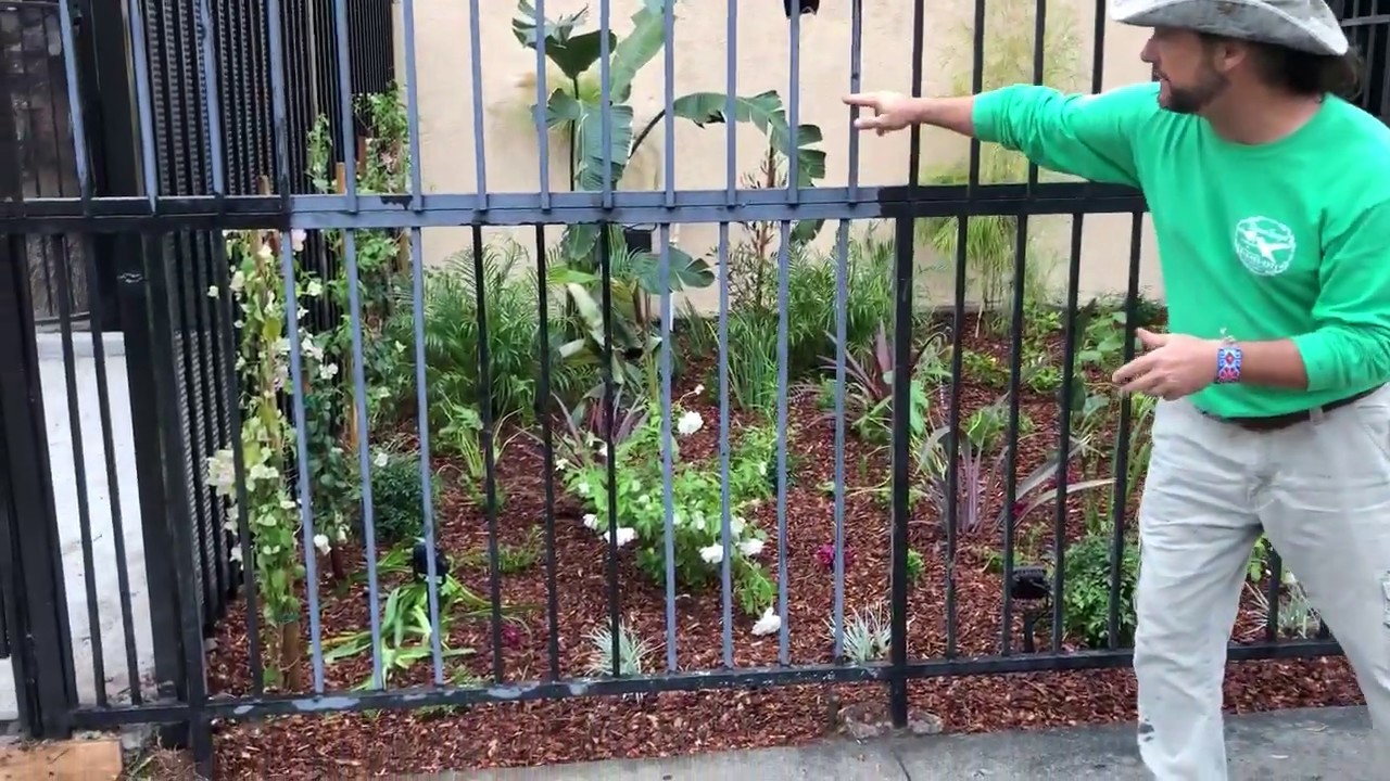 Apartment Complex Landscape Tour - YouTube