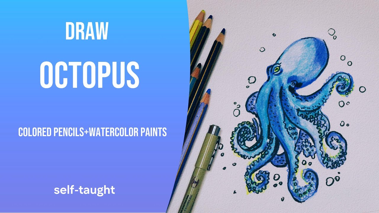 Let's Draw an Octopus - A Fun Lesson for Kids - YouTube