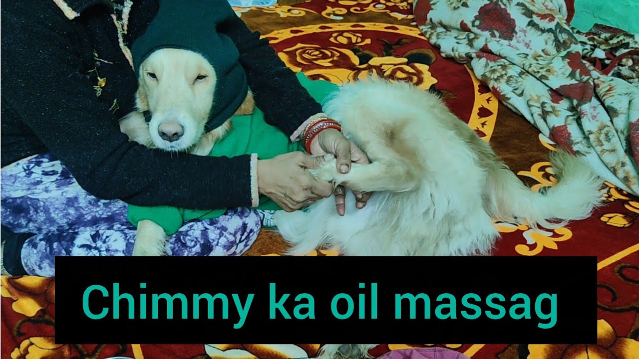 Tel malis bhai tel malish 👍🏻🔔🐾🐕🤔 - YouTube