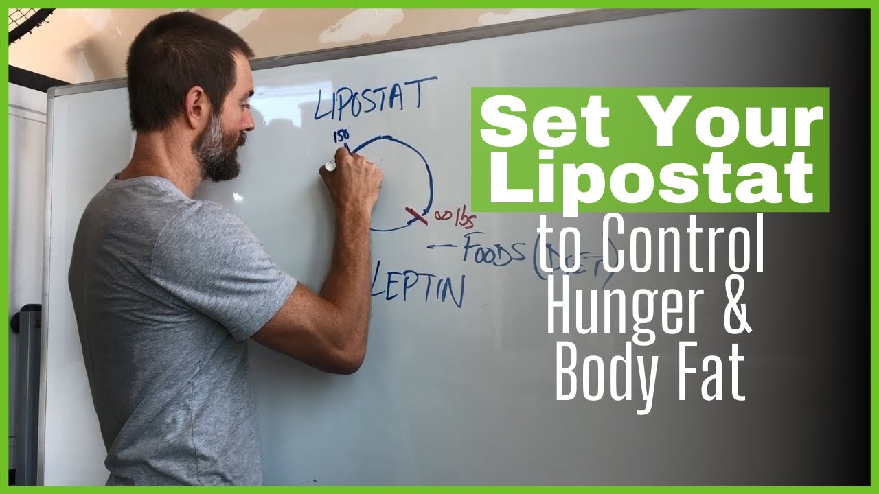 Your Lipostat and How it Impacts Huger and Body Fat - YouTube