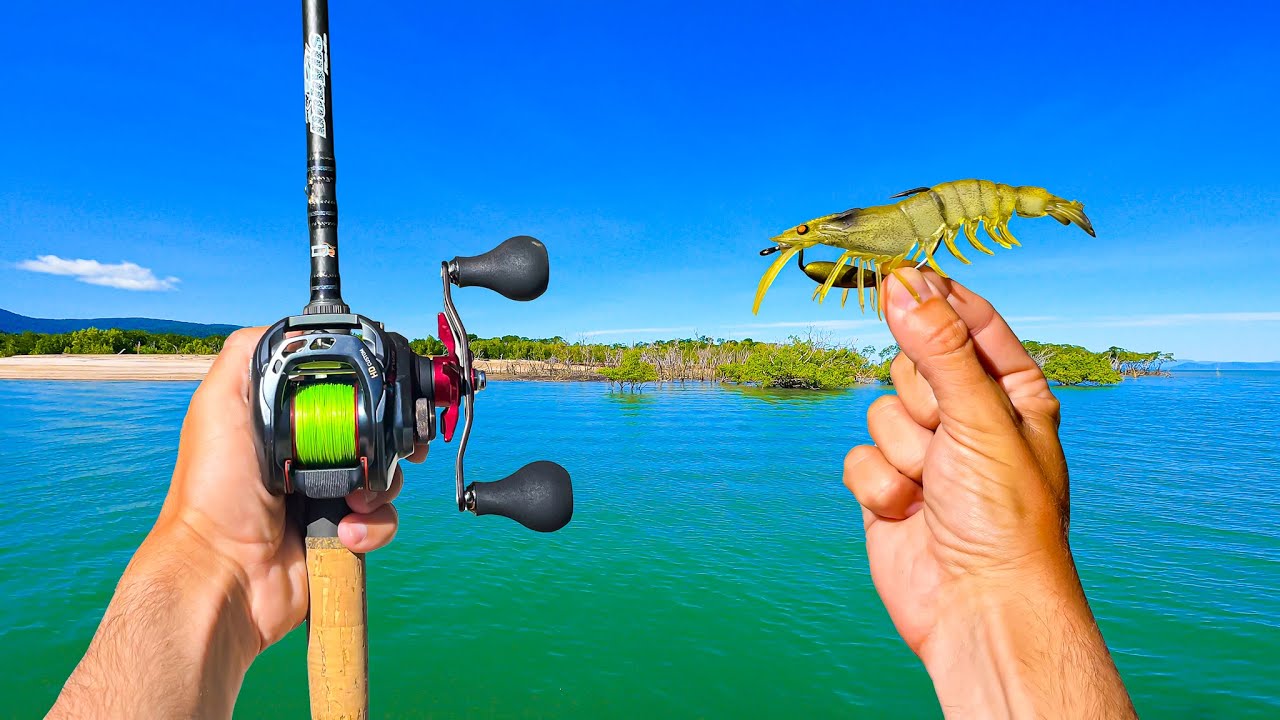 Fishing Saltwater Creeks For This Elusive Fish. - YouTube