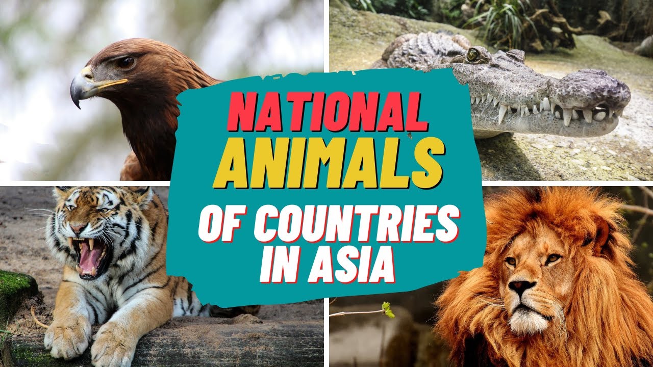 National Animal of Countries in Asia | List of Asian National Animals ...